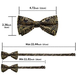 DiBanGu Black Gold Paisley Bow Tie for Men Adjustable Pretied Bow Tie Handkerchief Cufflinks