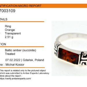 HolidayGiftShops Sterling Silver and Baltic Honey Amber Ring Petra