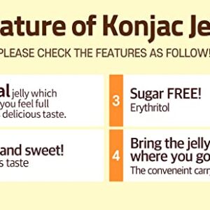 RAWEL Thingle Delicous Konjac Jelly 1box (130ml x 10packs) / 6 Calories/Sugar Free/Low Calories/Fruit Flavor Jelly with low carb/Drinkable Zero Sugar Jelly Dessert (Hibiscus & Pomegrante)