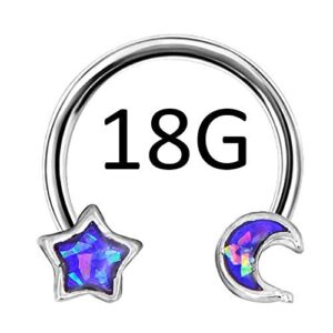 OUFER 18G 316L Stainless Steel Daith Earrings Purple Moon Star Shape Horseshoe Circular Barbell Cartilage Hoop Septum Piercing …