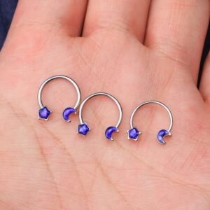 OUFER 18G 316L Stainless Steel Daith Earrings Purple Moon Star Shape Horseshoe Circular Barbell Cartilage Hoop Septum Piercing …