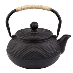 tetsubin cast iron tea kettle japanese workshop teapot hobnail pattern with stainless steel infuser【20 oz black】