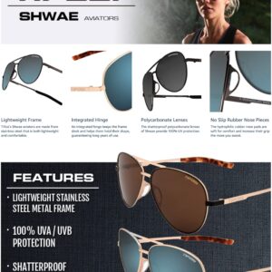 Tifosi Optics Shwae Aviator Sunglasses (Midnight Gold, Brown)