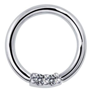 freshtrends two diamonds seamless ring hoop, 14k white gold | 14g | 1/2" (0.01 cttw, j-k color, si1 clarity)