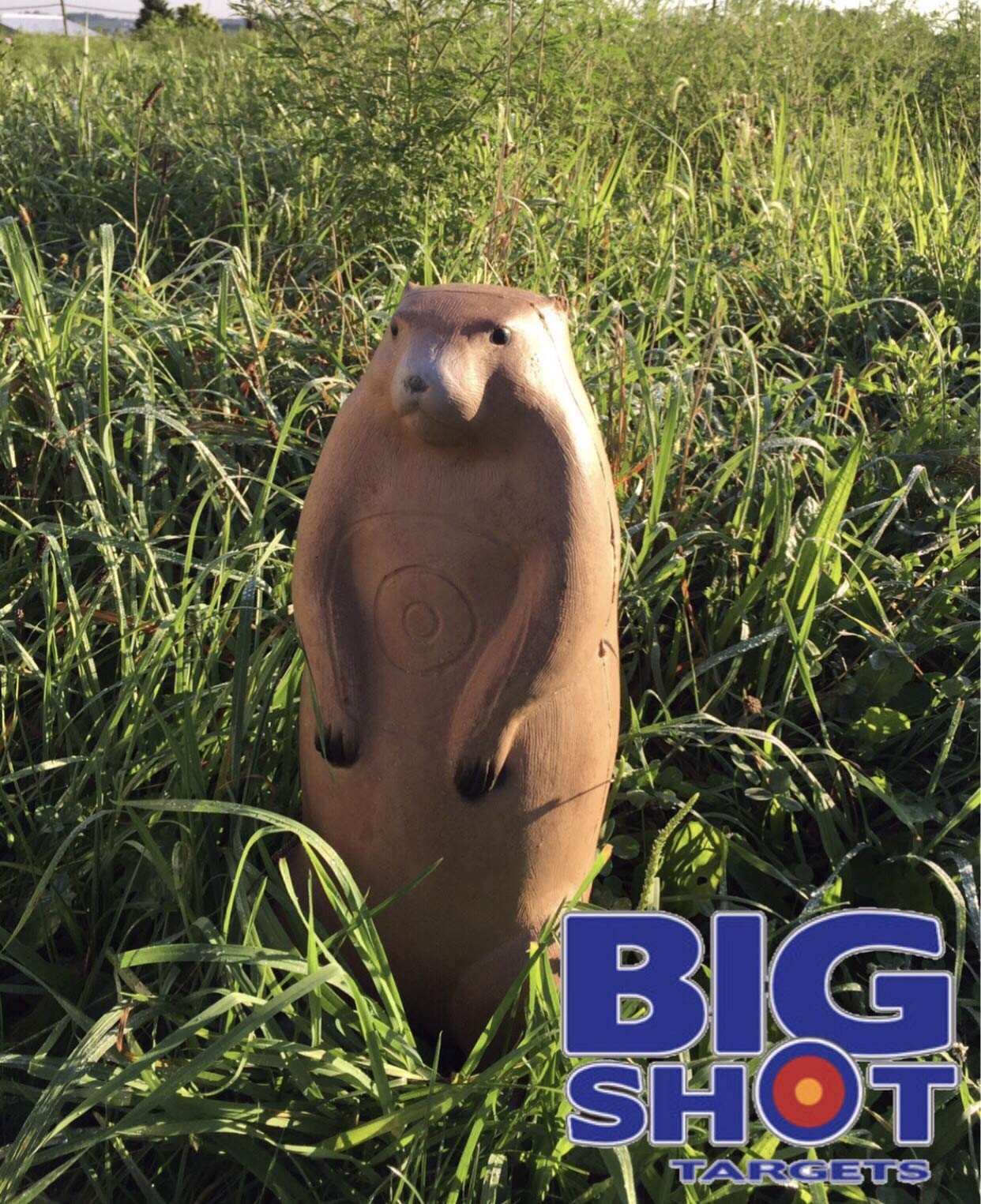 Real Wild 3D Ground Hog Archery Target