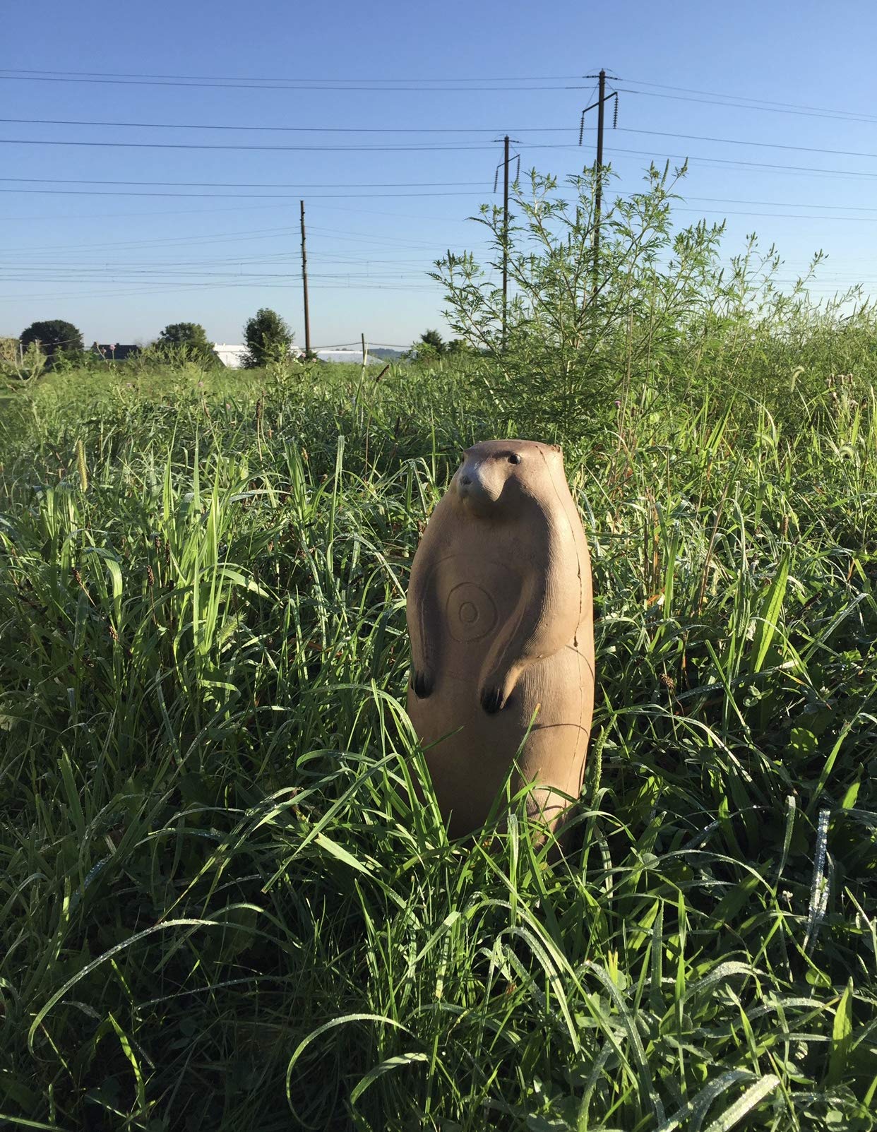 Real Wild 3D Ground Hog Archery Target