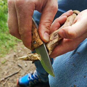 HELLE Knives - Kletten - Foldable Knife W/Clip - Birch Wood Handle - H3LS Stainless Steel - Made in Norway