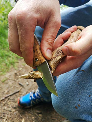 HELLE Knives - Kletten - Foldable Knife W/Clip - Birch Wood Handle - H3LS Stainless Steel - Made in Norway