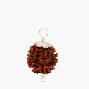 Petrichor Original 5 Faced Rudraksha Bead with Silver Capping (5 Mukhi with Certificate)