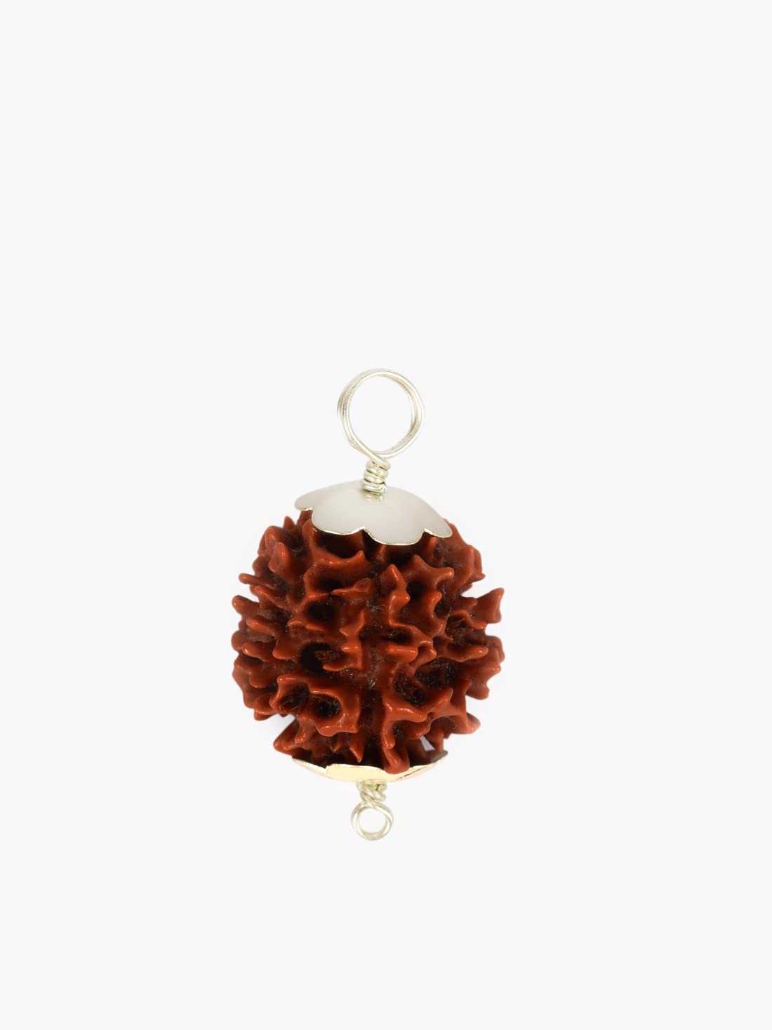 Petrichor Original 5 Faced Rudraksha Bead with Silver Capping (5 Mukhi with Certificate)