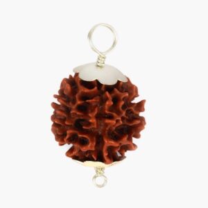 Petrichor Original 5 Faced Rudraksha Bead with Silver Capping (5 Mukhi with Certificate)