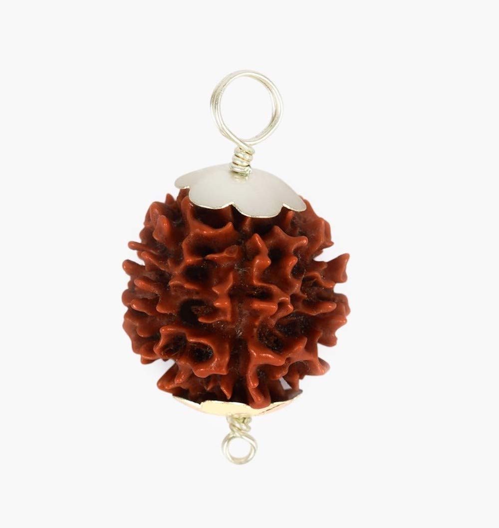 Petrichor Original 5 Faced Rudraksha Bead with Silver Capping (5 Mukhi with Certificate)