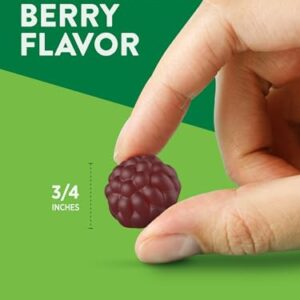 Nature's Truth Black Elderberry Gummies | 50 Vegan Gummies | with Vitamin C and Zinc | Berry Flavor | Vegan, Non-GMO, and Gluten Free Supplement