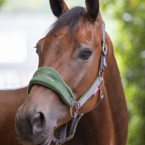 LeMieux Vogue Fleece Headcollar - Halter & Leadrope (Hunter Green - Cob)