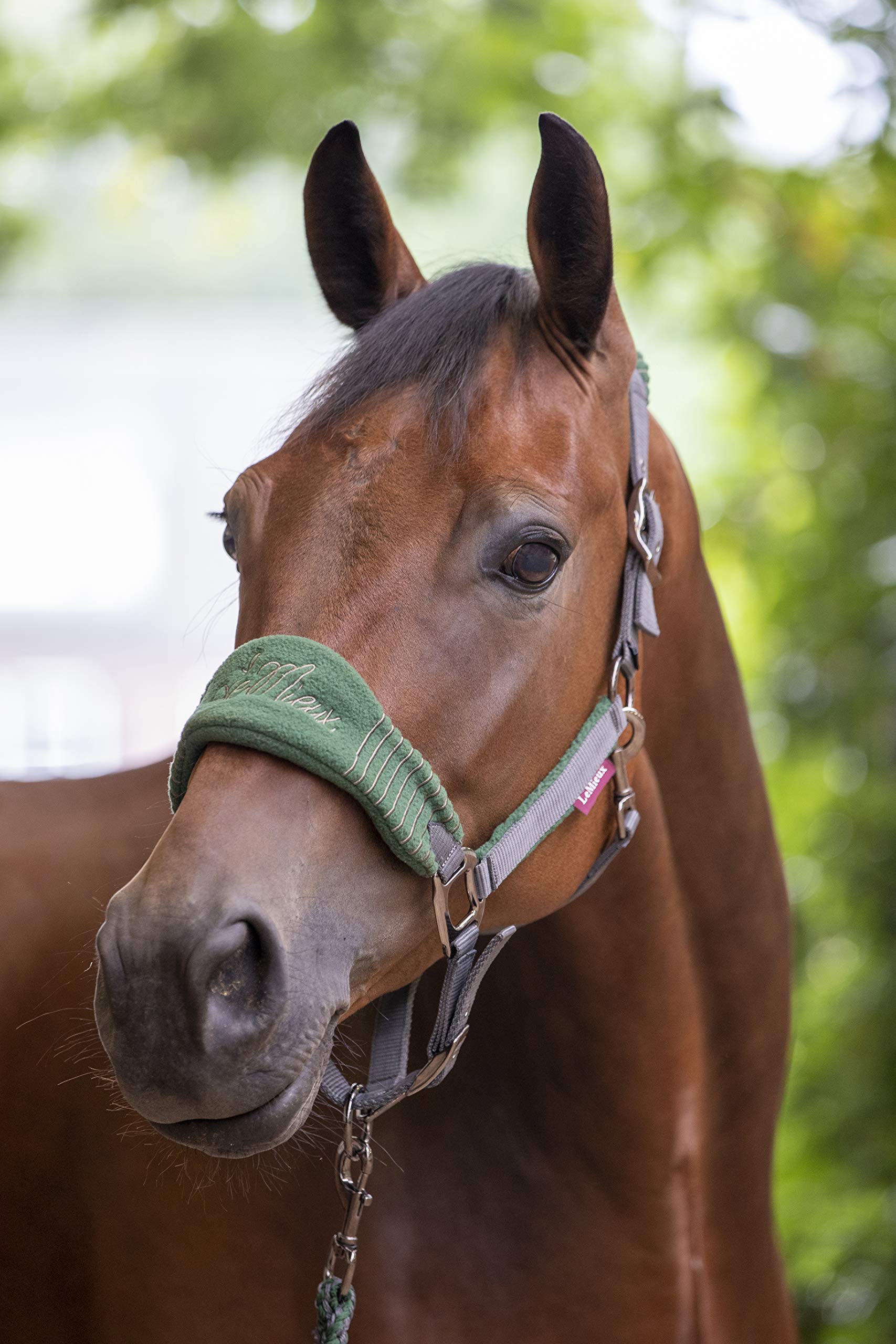 LeMieux Vogue Fleece Headcollar - Halter & Leadrope (Hunter Green - Cob)