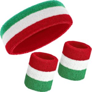 6 Pcs Terry Cloth Rainbow Sweatbands Set - 2 Headbands, 4 Wristbands for Men, Women, Gym, LGBT Pride Parade, Sports (Red, White, Green)