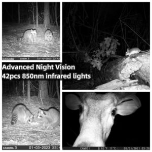 WOSODA Trail Cameras 2 Pack 24MP 1080P HD, Waterproof Game Camera Motion Activated with Fast Trigger Time Infrared Night Vision, Hunting Camera for Outdoor Wildlife Monitoring