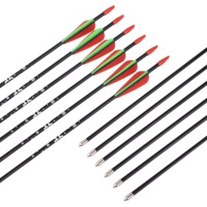 Archery Recurve Bow Arrows Fiberglass Arrow 28 Inch Hunting Shooting Practice Target for Beginners Kids Youth Sport Outdoor(Pack of 12)