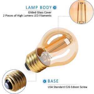 Panledo 2 Watt Vintage Edison LED Bulbs, Globe LED Filament Bulb, 2200K Ultra Warm Light, E26 Medium Base, A15 Amber Glass Antique Gold Tint, 25W Incandescent Replacement, Dimmable, Pack of 6