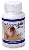 SAMeLQ 100 Chewable Tablets 60 ct