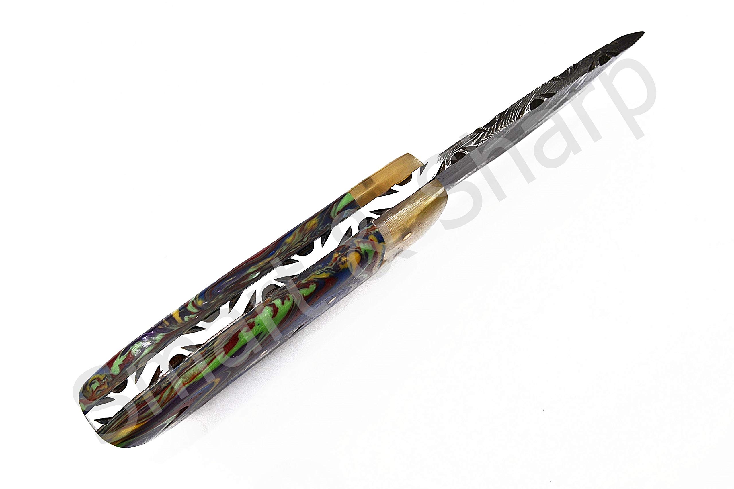 Smart & Sharp Custom Handmade Damascus Steel Hunting Knife/Skinning Knife AA-17216, 17217, 17218, 17219, 17220 and 17221 (Multi Color Resin)