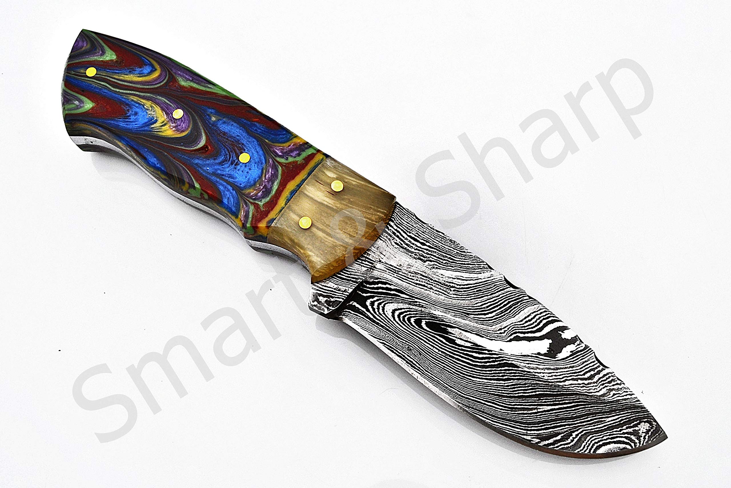 Smart & Sharp Custom Handmade Damascus Steel Hunting Knife/Skinning Knife AA-17216, 17217, 17218, 17219, 17220 and 17221 (Multi Color Resin)