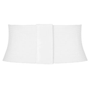 CHIC DIARY Women's Wide Stretchy Cinch Belt Tied Waspie Corset Belts Waistband (White)