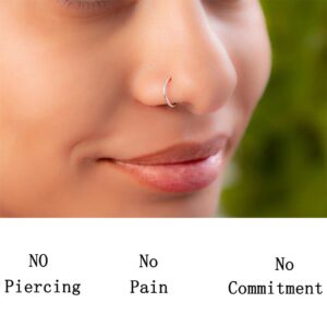 Earmark 20G Gold Fakes Face Nose Rings Hoop Cute 8MM Tiny Thin Non Piercing Fuax Septum Ring 316L Surgical Steel Unpierced Clip-on Side Nose Ring Set for Women Men