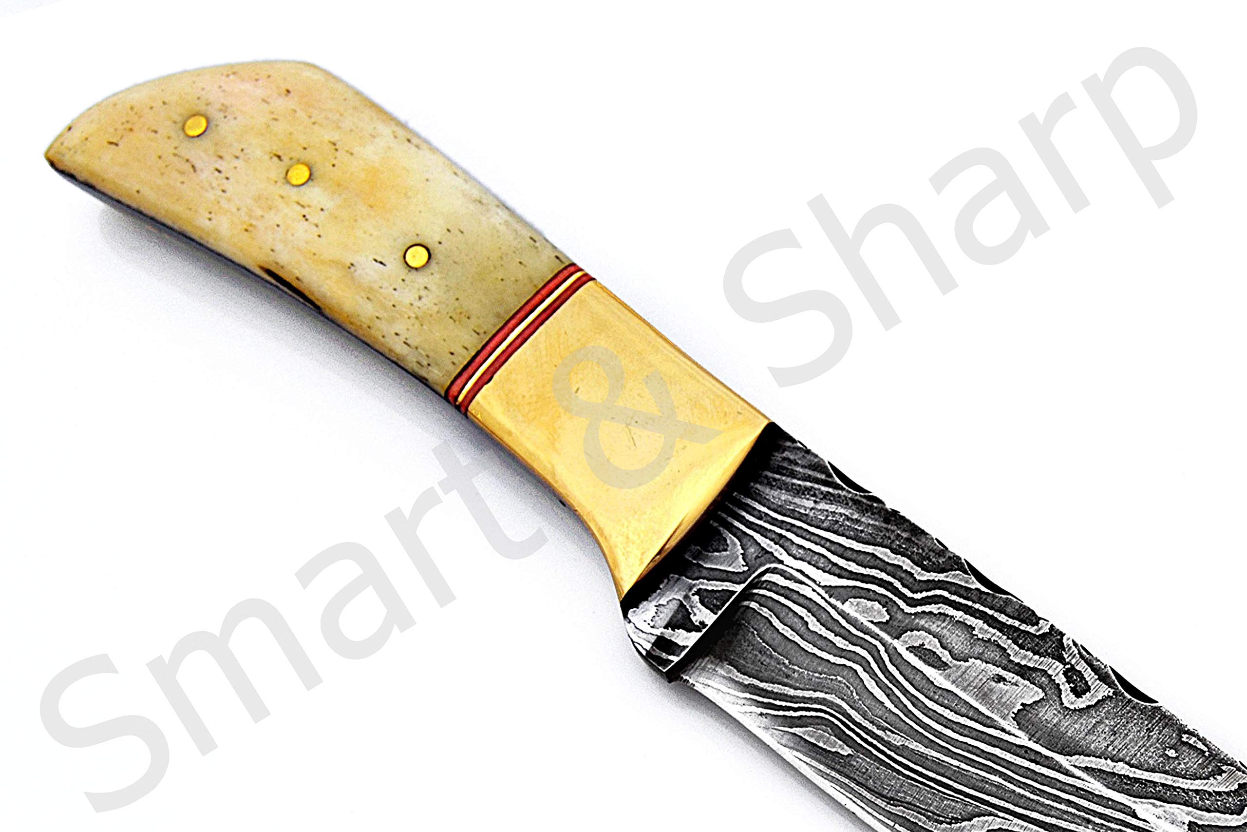 Smart & Sharp Custom Handmade Damascus Steel Hunting Knife/Skinning Knife AA-17280 (Natural Bone)