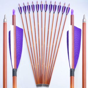 ameyxgs 30inch carbon arrows hunting aiming practice arrows spine 500 with 4inch shield turkey feather detachable arrowhead for recurve compound bow longbow 12pcs (12pcs purple)