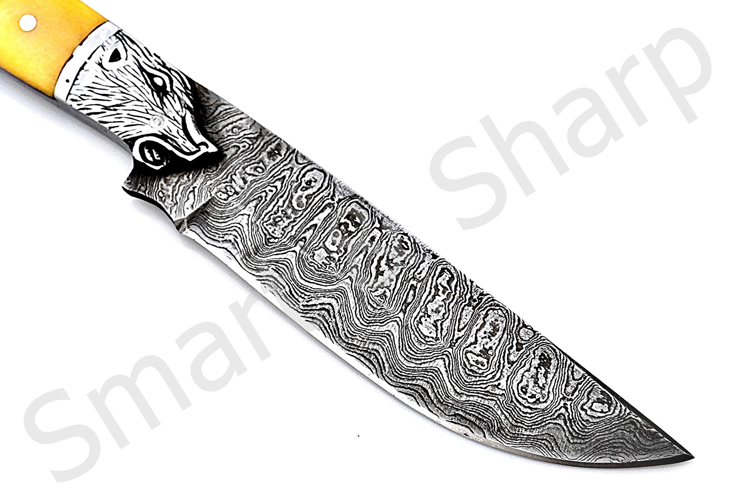 Smart & Sharp Custom Handmade Damascus Steel Hunting Knife/Skinning Knife AA-17287 (Natural Bone and Multi Color Wood)