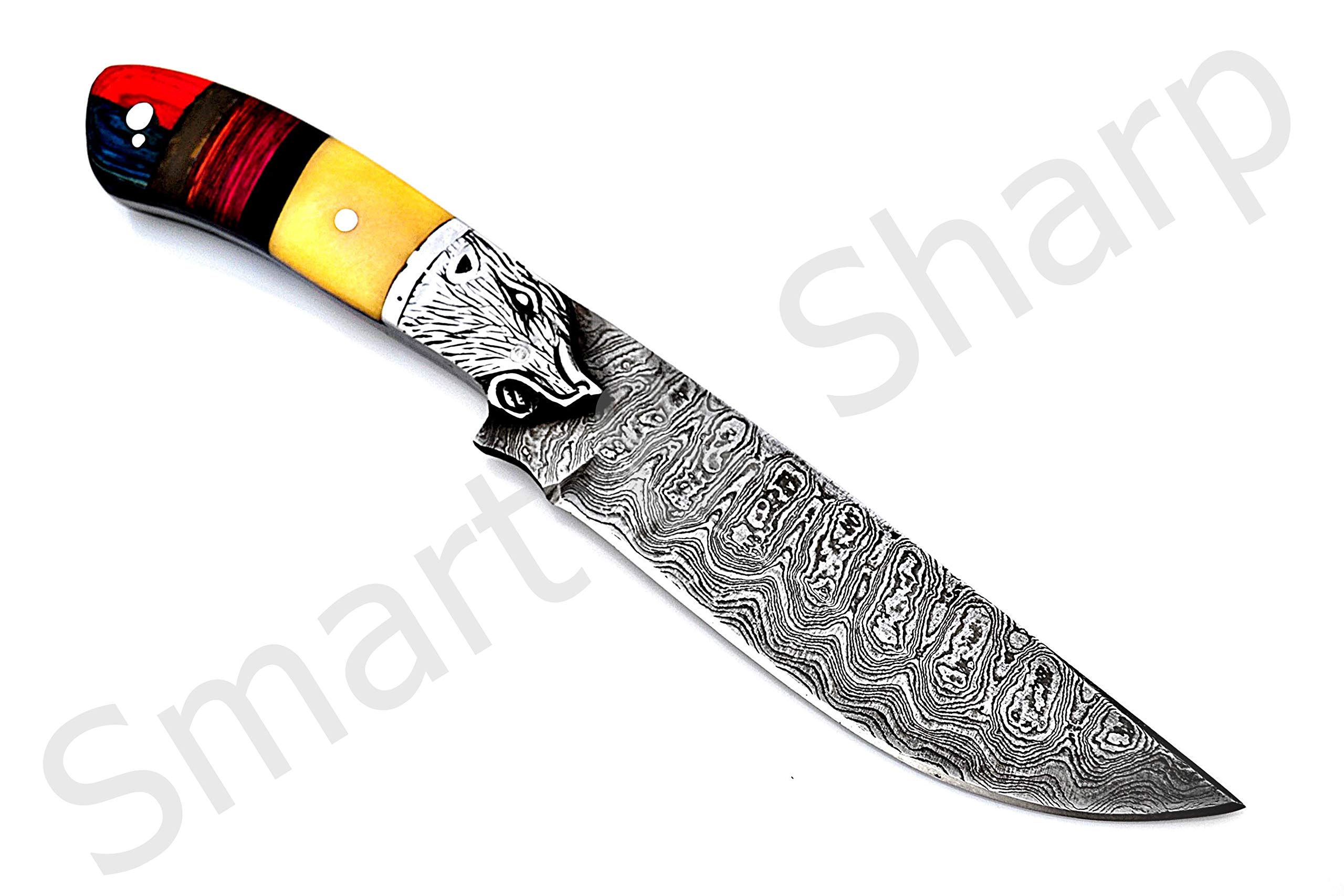 Smart & Sharp Custom Handmade Damascus Steel Hunting Knife/Skinning Knife AA-17287 (Natural Bone and Multi Color Wood)