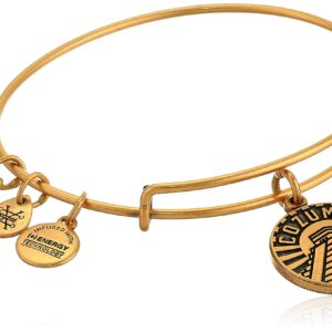 Alex And Ani Replenishment 19 Women's Cozumel, Charm Bangle, Rafaelian Gold