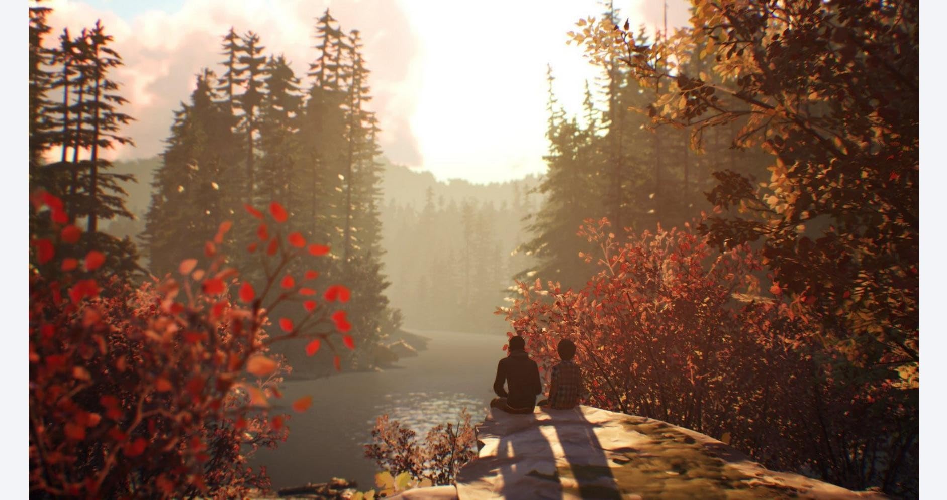 Life is Strange 2 (PS4)