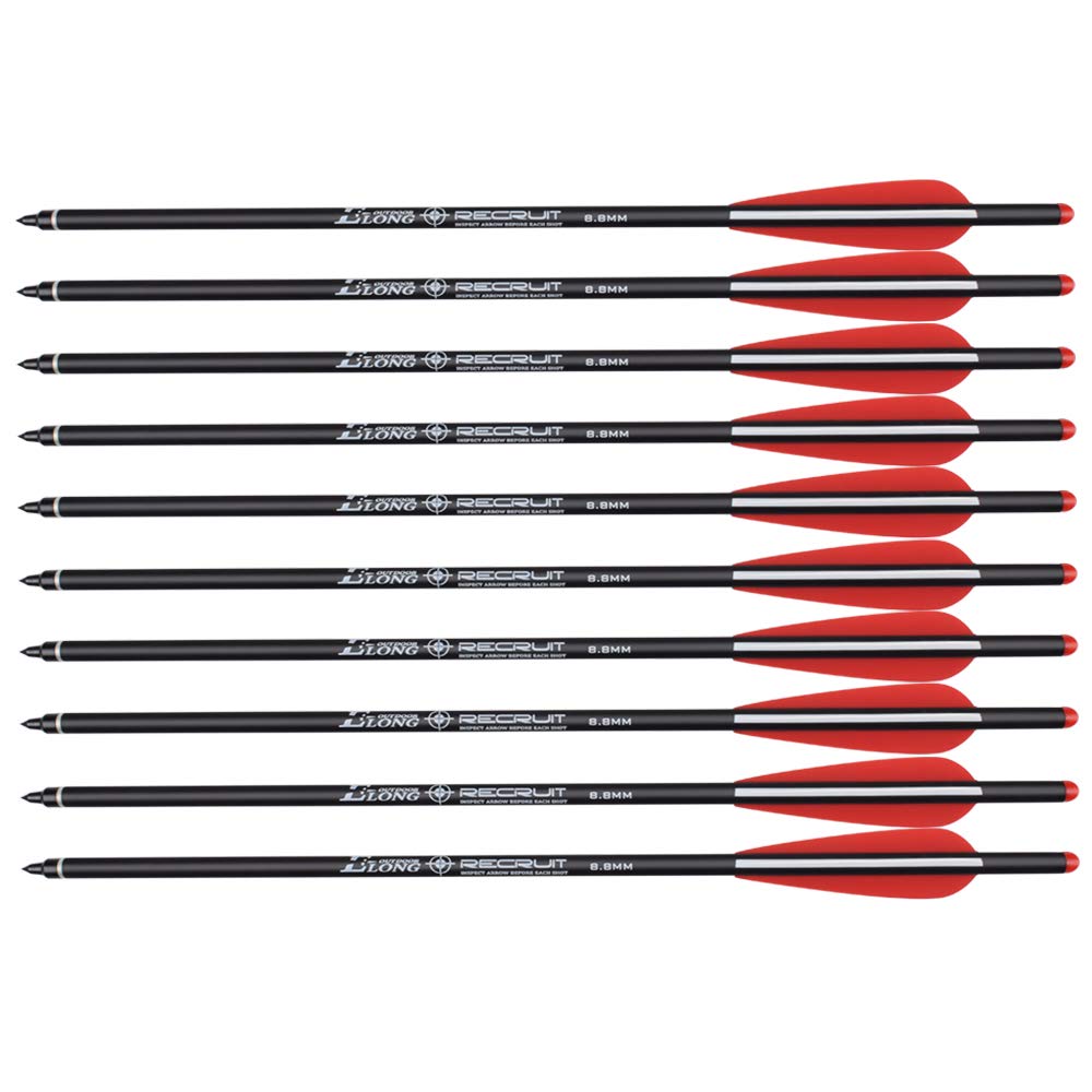 Carbon Crossbow Bolts 20 Inch Hunting Archery Arrows with 4" Vanes Replaced Arrowhead Tip (Pack of 12)