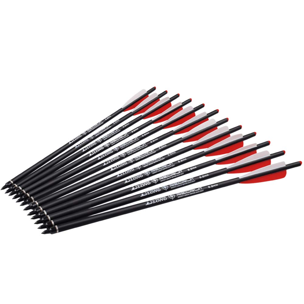 Carbon Crossbow Bolts 20 Inch Hunting Archery Arrows with 4" Vanes Replaced Arrowhead Tip (Pack of 12)