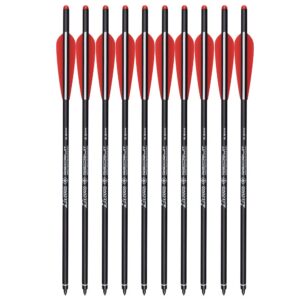 Carbon Crossbow Bolts 20 Inch Hunting Archery Arrows with 4" Vanes Replaced Arrowhead Tip (Pack of 12)