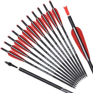 Carbon Crossbow Bolts 20 Inch Hunting Archery Arrows with 4" Vanes Replaced Arrowhead Tip (Pack of 12)