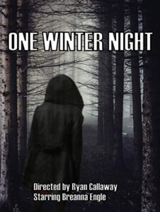 one winter night