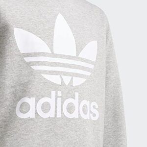 adidas Originals unisex-youth Trefoil Crew Sweatshirt Medium Grey Heather X-Large