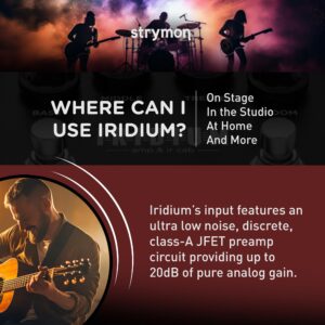 Strymon Iridium Amp and IR Cab Simulator Guitar Pedal for Electric and Acoustic Guitar, Synths and Keyboards​​