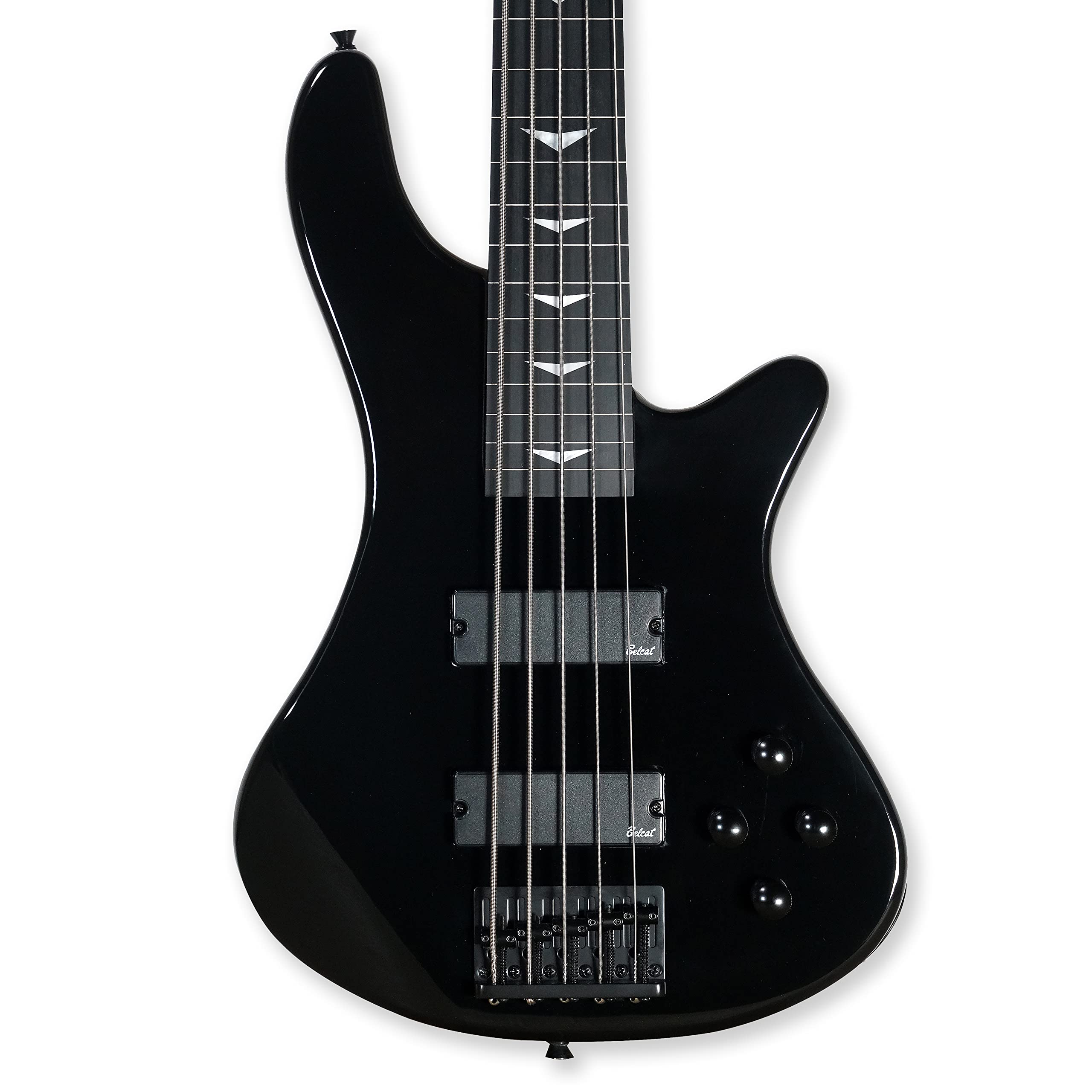 TARIO Black 5 String Fretless Electric Bass Bolt_On Maple Neck,Poplar Body