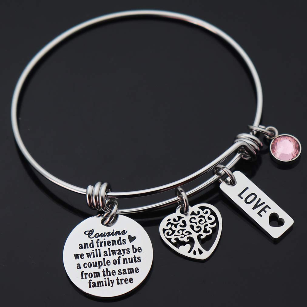 Eilygen Cousins Gifts Cousins Charm Adjustable Bracelt Bangle Cousin Jewelry Gift for Cousins (Cousins and friends we will always be, a couple of nuts from The same family tree)