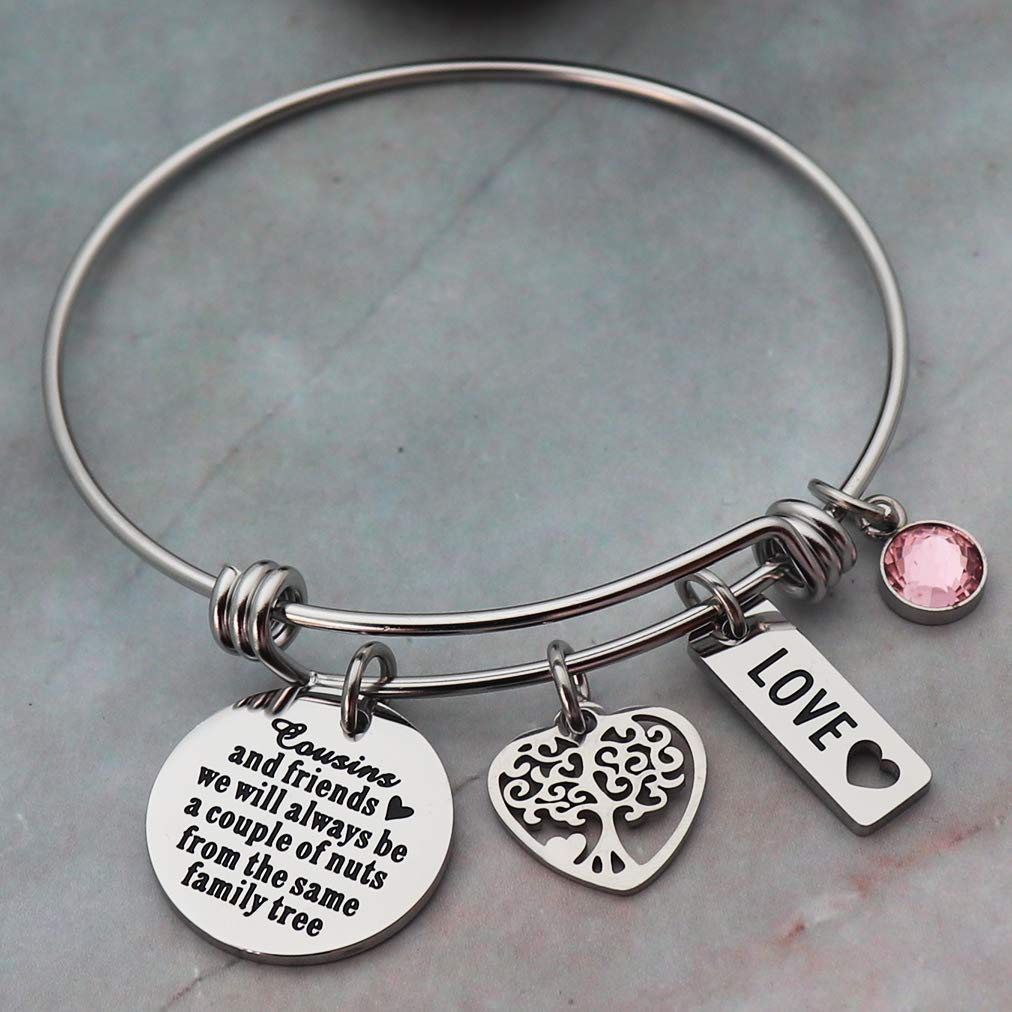 Eilygen Cousins Gifts Cousins Charm Adjustable Bracelt Bangle Cousin Jewelry Gift for Cousins (Cousins and friends we will always be, a couple of nuts from The same family tree)