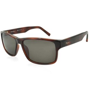 ferragamo sf960s unisex sunglasses tortoise, 58