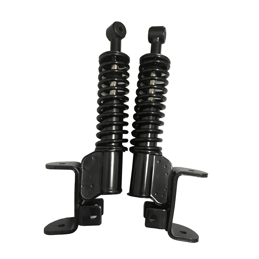 Dr.Acces EZGO RXV Front Shock Strut Assembly EZGO RXV Golf Carts (2008+) Replaces # 601246, 603024,Sold as Pair