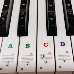 piano stickers for keys, yalloy colorful piano keyboard stickers for 88 61 54 49 full set stickers removable and transparent, leaves no residue, ideal for piano beginners learning piano or keyboard