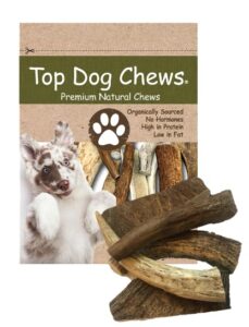 top dog chews premium grade a natural shed hard moose antler by the pound. variety pack brand! (1lb)