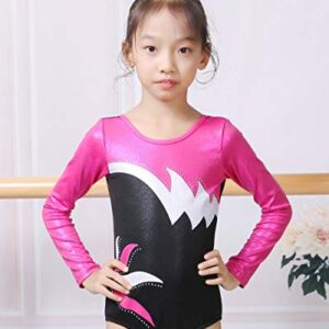 Leotards for Girls Gymnastics Toddler Shiny Diamond Metallic Athletic Bodysuit B197_BlackHotPink_16A