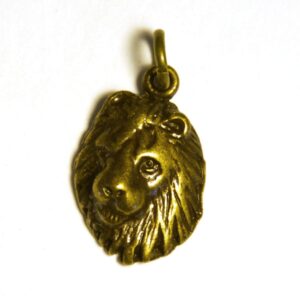 naturale heads of animal elephant, leopard, lion, cheetah, rhino and buffalo 3d brass replica pendant charm on the ring (lion)